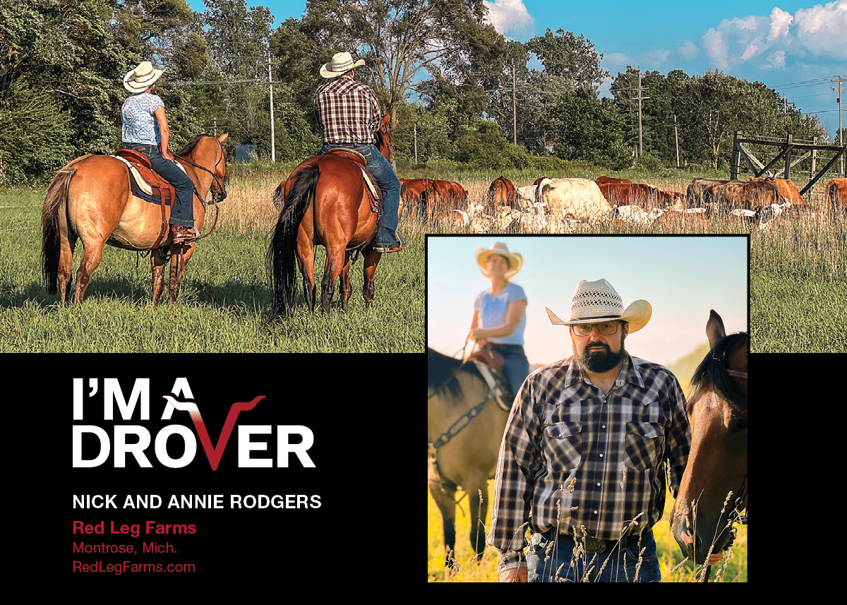 I Am a Drover — The Green, Green Grass of Home | Drovers